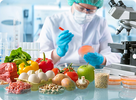Food Quality Analyzer - Panshul Multi Trade